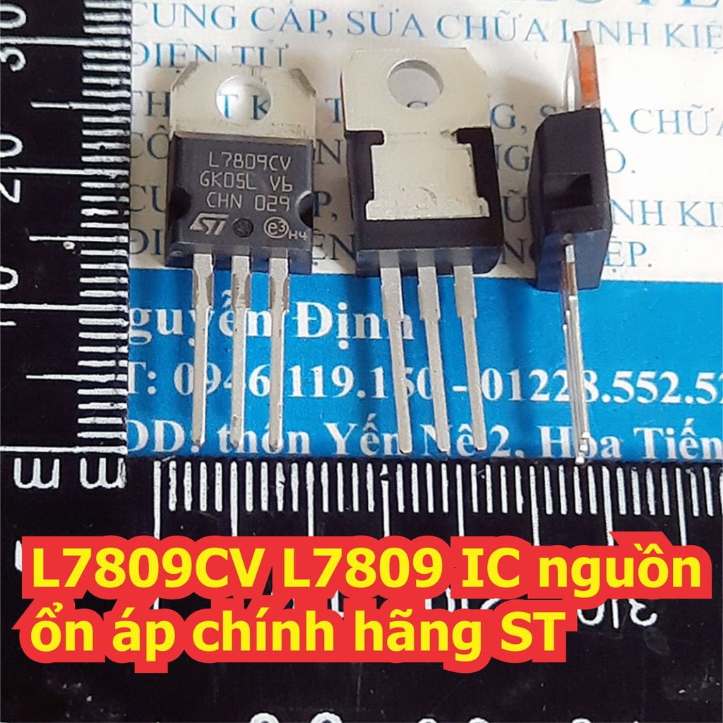 Đện tử Khải Định - Thỏa sức đam mê