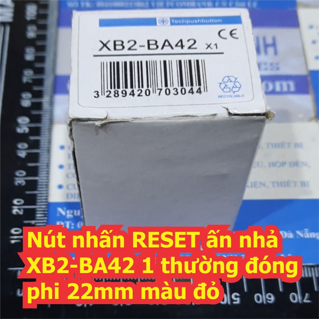 Đện tử Khải Định - Thỏa sức đam mê