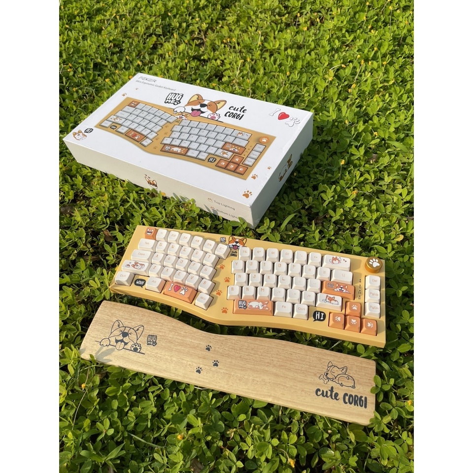 Bàn phím cơ không dây FEKER ALICE 80 - CORGI | 3 modes | Hotswap | Mạch ...