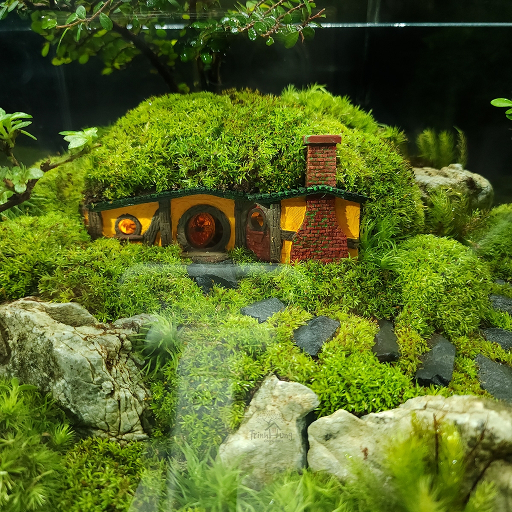 Hobbit House Terrarium