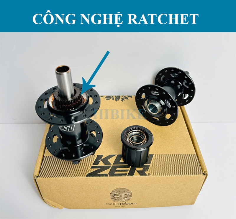 Bộ Hub KOOZER 350 Ratchet 40T 32 Lỗ - Phanh Đĩa 6 Ốc - Tăm Móc
