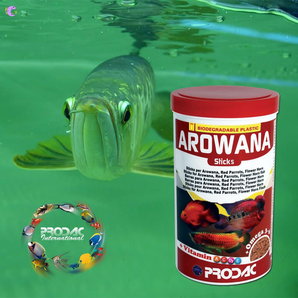 Thức Ăn Cho Cá Rồng Arowana Stick PRODAC | Thủy Sinh Tím