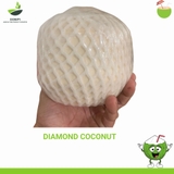 Easy Open Coconut – AGRICULTURE PRODUCT EXPORTER