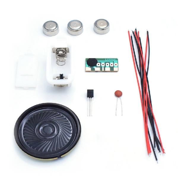 Module Phát Nhạc Mini (Bao Gồm Loa) Điện Tử 360(E360)