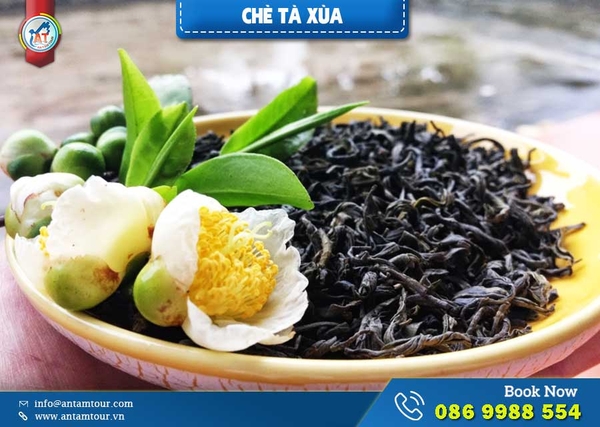 Đặc Sản Nơi Vùng Núi Tây Bắc Chè Tà Xùa | Antamtour.vn