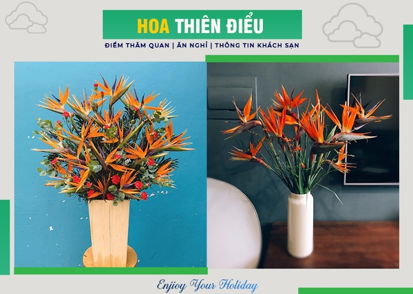 Ý nghĩa hoa Thiên Điểu, cách cắm hoa, cách trồng và chăm sóc | Antamtour.vn