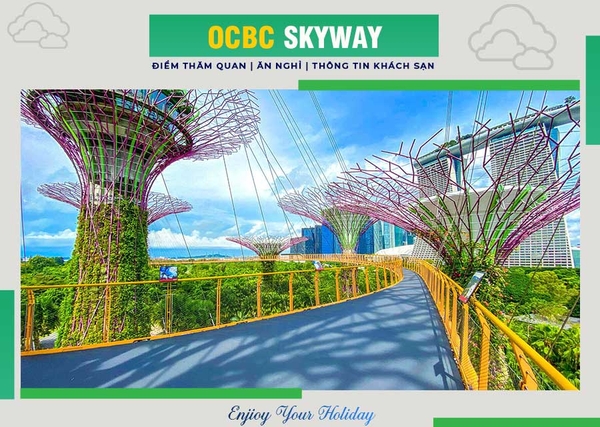 Cầu Đi Bộ OCBC Skyway Trong Garden By The Bay Singapore | Antamtour.vn