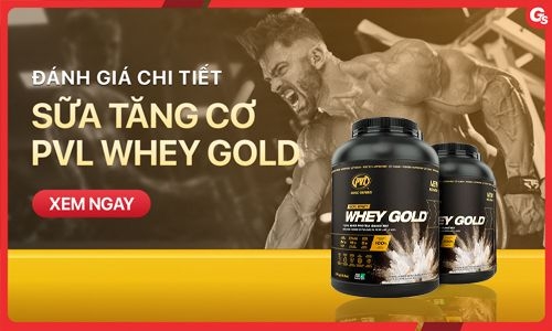 Đánh giá PVL Whey Gold: Tiêu chuẩn Whey sạch và tinh khiết