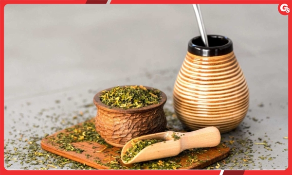 Lợi ích của Yerba Mate đối với sức khỏe, cách sử dụng đúng cách