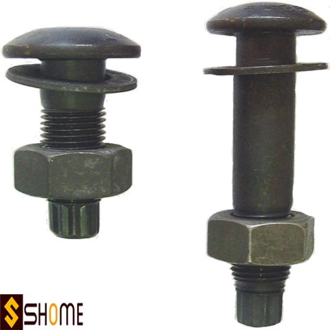 Bulong ASTM A325(F1852)