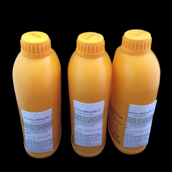 Tăng sức đề kháng MEGACID L - Acid hữu cơ trong chăn nuôi – HTX TÍN PHÁT