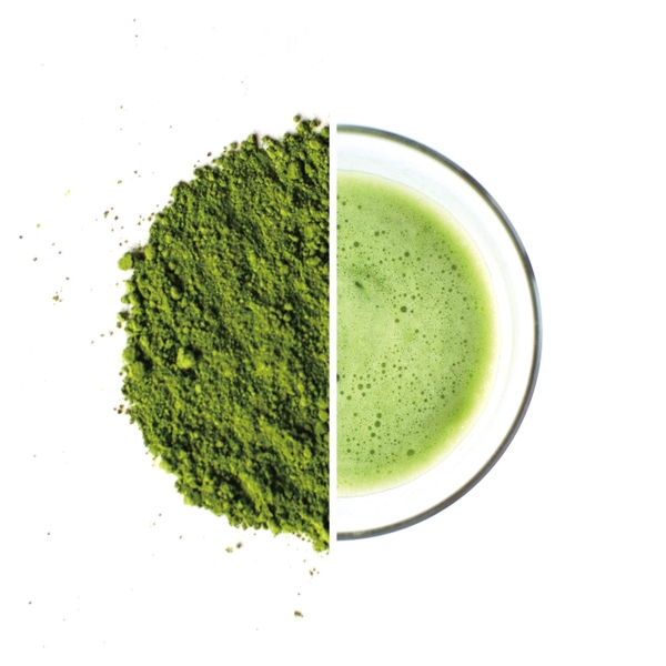 ĐỪNG BAO GIỜ BỎ LỠ MATCHA! | Plantrip Cha
