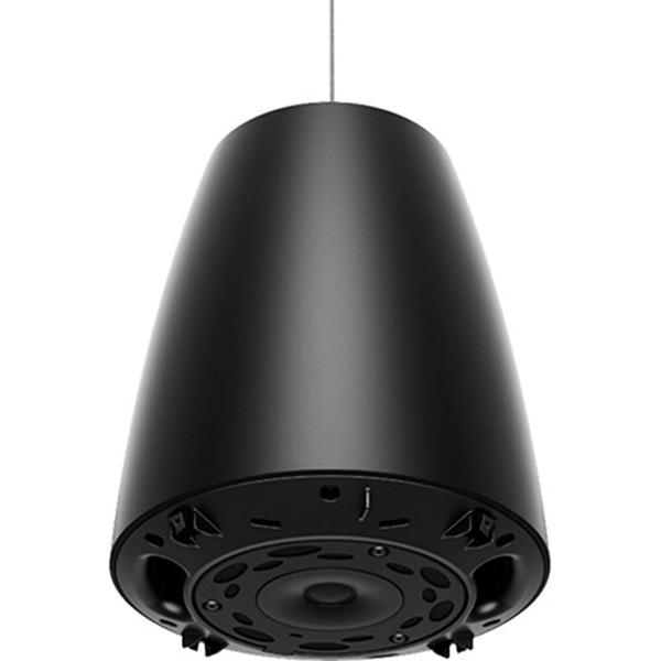 Loa BOSE DESIGNMAX DM3P