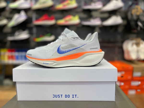 Giày thể thao nam Nike Pegasus 41 HF0013-900