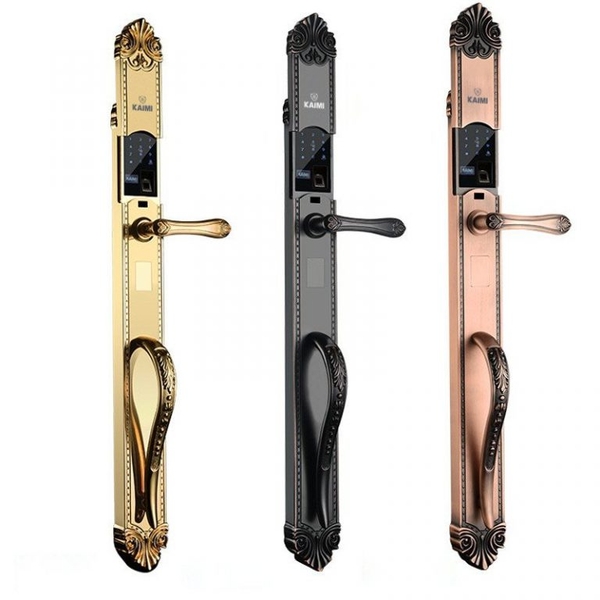 Khoá vân tay đại sảnh tân cổ điển KAIMI DS103