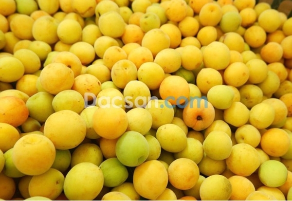 Quả mơ và những điều bạn chưa biết | Dacsan.com