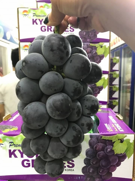 Nho Hàn Quốc kyoho là nho gì? Cách phân biệt nho Hàn Quốc kyoho với nh ...