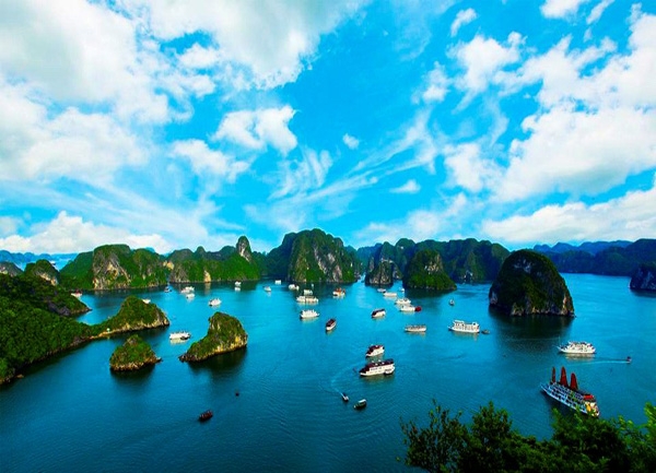 Du lịch đảo Cát Ông - Cát Bà - Cinvestra Travel