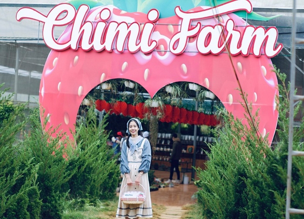 Giá Vé Tham Quan Trang Trại Dâu Tây Chimi Farm MỘC CHÂU - Cinvestra Travel
