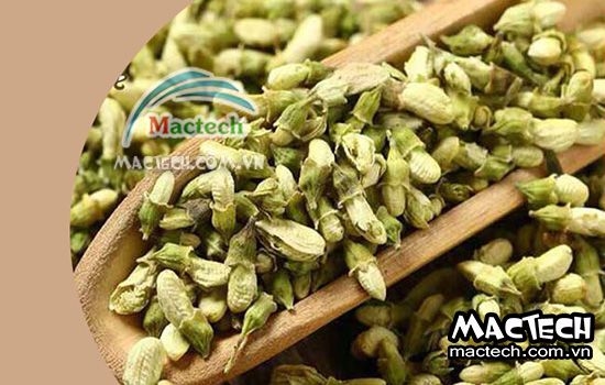 Cách sấy hoa hòe sử dụng máy sấy Mactech cho hiệu quả cao