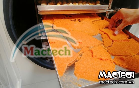 Máy sấy đu đủ Mactech, sấy nhiệt, sấy lạnh, sấy thăng hoa cao cấp