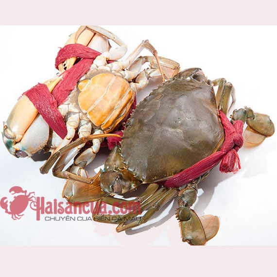 Cua Gạch 250gram https://haisancua.com/