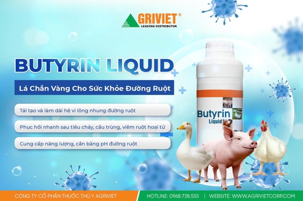 Butyrin Liquid: Giải Pháp Vàng Kiểm Soát Viêm Ruột Hoại Tử Và Tăng Cườ ...