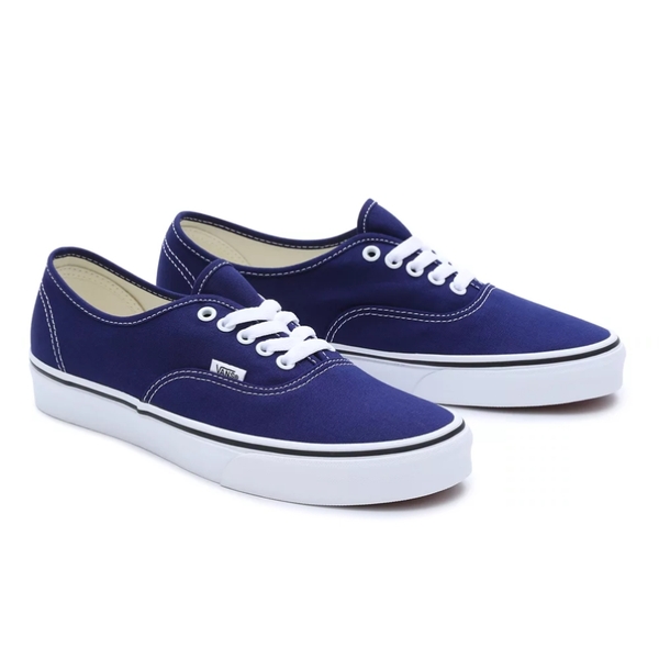 VANS Việt Nam | Giày VANS AUTHENTIC COLOR THEORY VN0009PVBYM