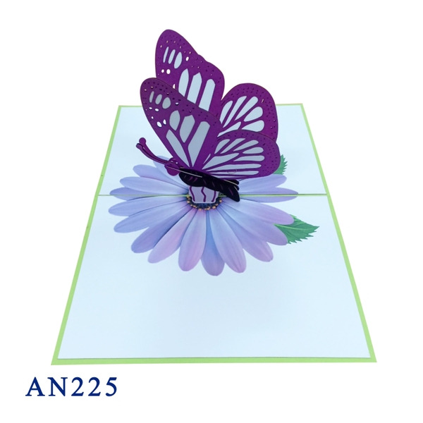 Butterfly Pop Up Card