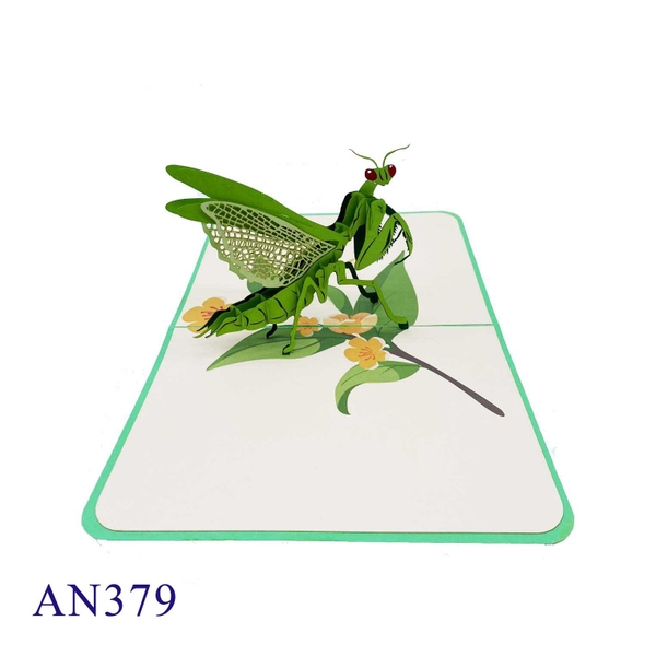 Praying Mantis Pop Up Card