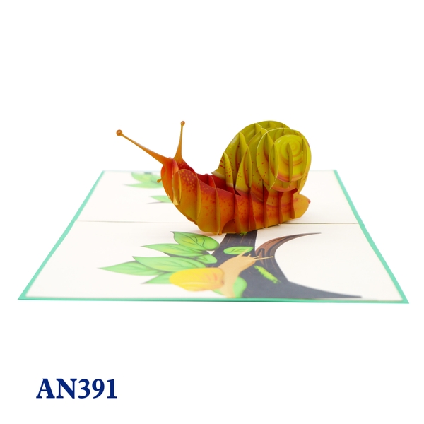 Snail Pop Up Card