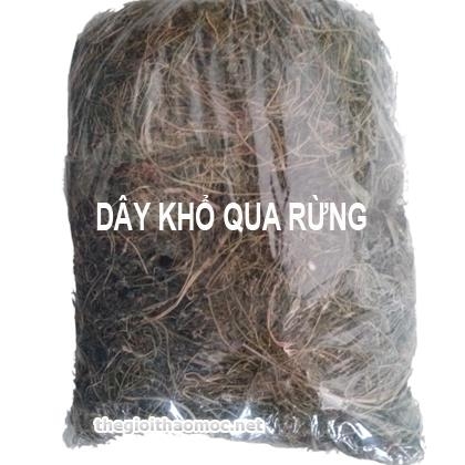Dây khổ qua rừng | Thảo dược chữa bệnh | THẢO MỘC THIÊN NHIÊN THUẬN THÀNH