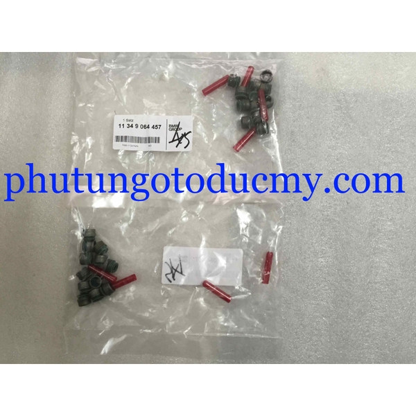 Phớt ghít BMW 325i E46; 525i, 530i E60- 11349064457 chính hãng