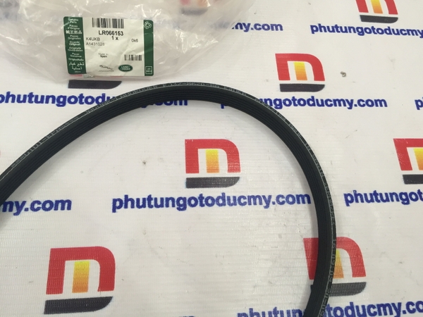 Dây curoa tổng Range Rover Evoque -LR066153-1