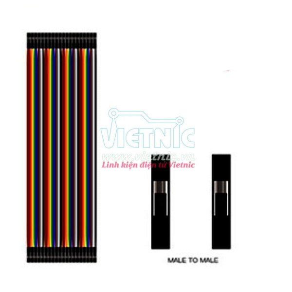 DÂY TEST BOARD 2 ĐẦU CÁI - 40 SỢI 10CM | www.vietnic.vn