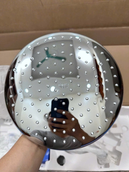 Sen cây bát tròn 2 xả nhập khẩu Đức GROHE TEMPESTA 250mm 26670001 ...