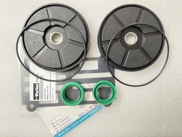 C2.184.1051, Seal Kits C2.184.1051, bộ phớt C2.184.1051