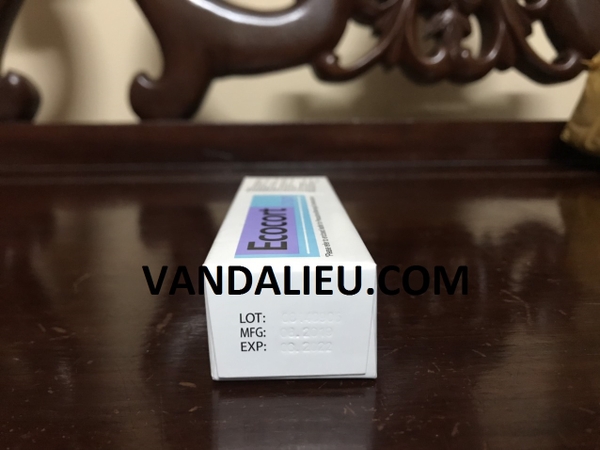 ECOCORT CREAM 15G. CÔNG TY TNHH KINH DOANH TỔNG HỢP HOÀNG DŨNG