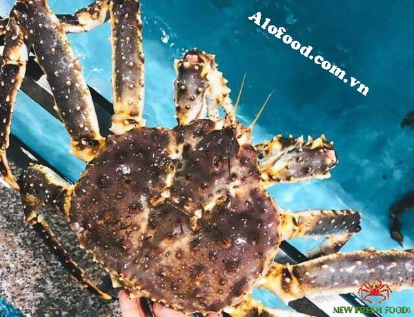 Cua Hoàng Đế Alaska| mua cua king crab| cua king crab 5kg ALOFOOD