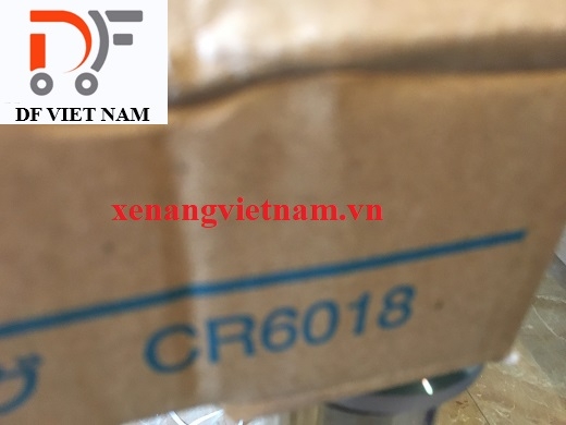 Khớp nối Tsubaki CR6018