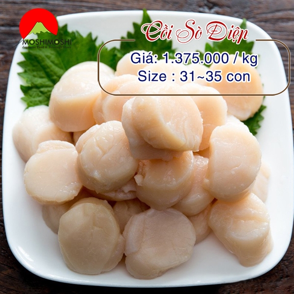 Hotate Size S (31/35)- Sò điệp 1kg