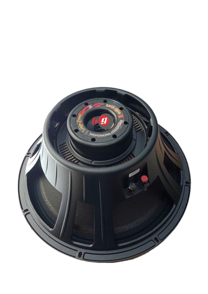 LOA BASS 40 P Audio SN15-500B | Vinakara.com