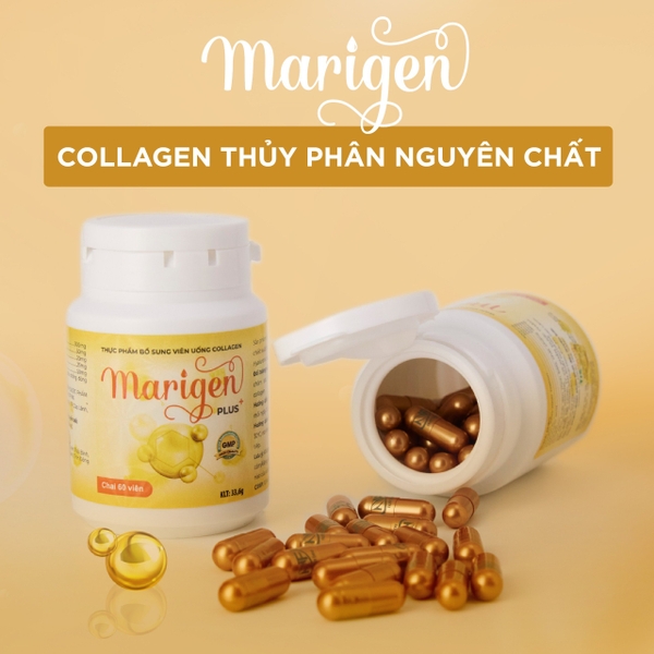 Combo 05 hộp viên uống Collagen Marigen Plus Marigen Vietnam