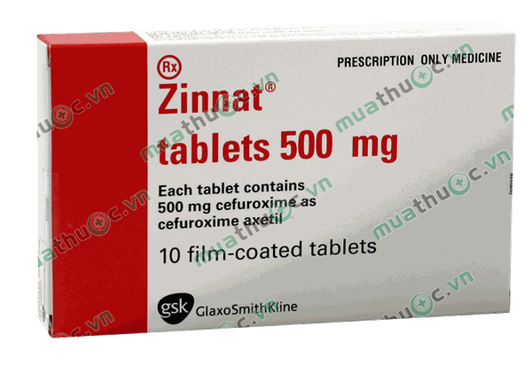 Zinnat 500mg – Siêu thị thuốc việt
