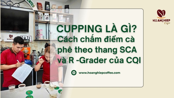 Cupping là gì? Cách chấm điểm cà phê theo thang SCA và R-Grader của CQ ...