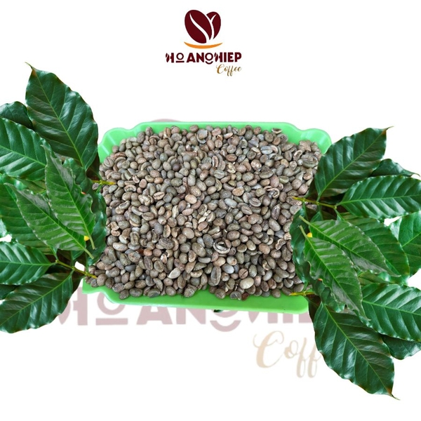 Cà phê nhân Robusta Natural | Hoàng Hiệp Coffee