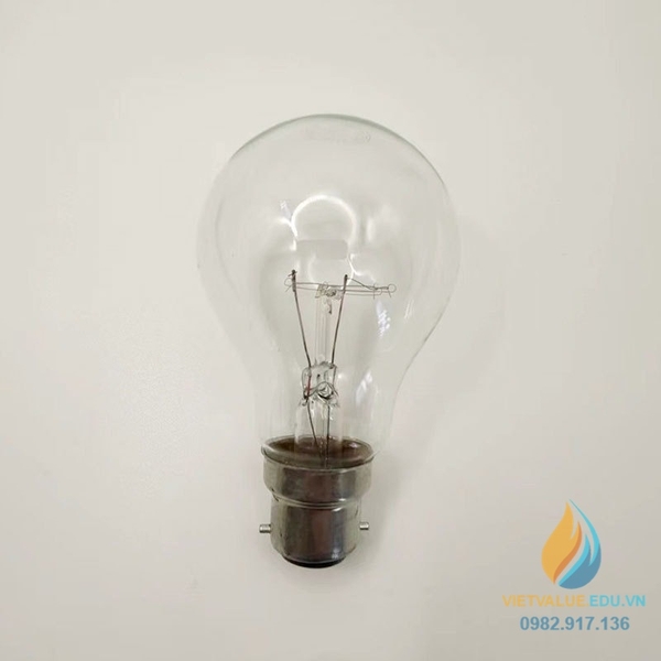 Bóng đèn sợi đốt 200W VIETVALUE