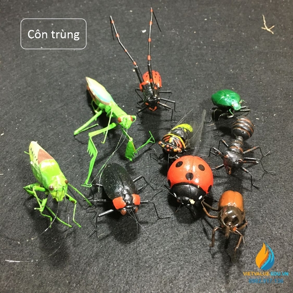 Bộ côn trùng quan sát vẽ tranh gồm 11 loại như kiến, cào cào, bọ ngựa ...