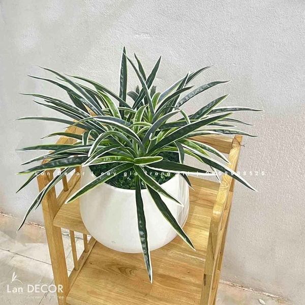 CHẬU TÓC TIÊN DECOR KHÔNG GIAN XANH- CC885 Tổng Kho Sỉ Cây Giả Trang ...