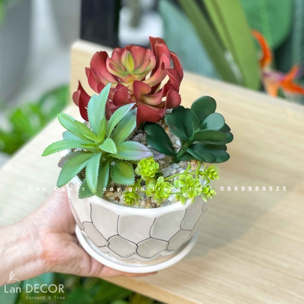 CHẬU SEN ĐÁ ĐỂ BÀN THIẾT KẾ LANDECOR- CC852 Cây Giả Trang Trí nhà Đẹp ...